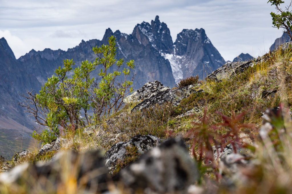 The world’s longest border is moving | The Narwhal