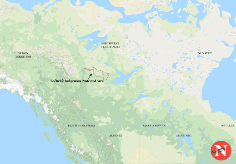 Indigenous hunters are protecting animals, land and waterways | The Narwhal