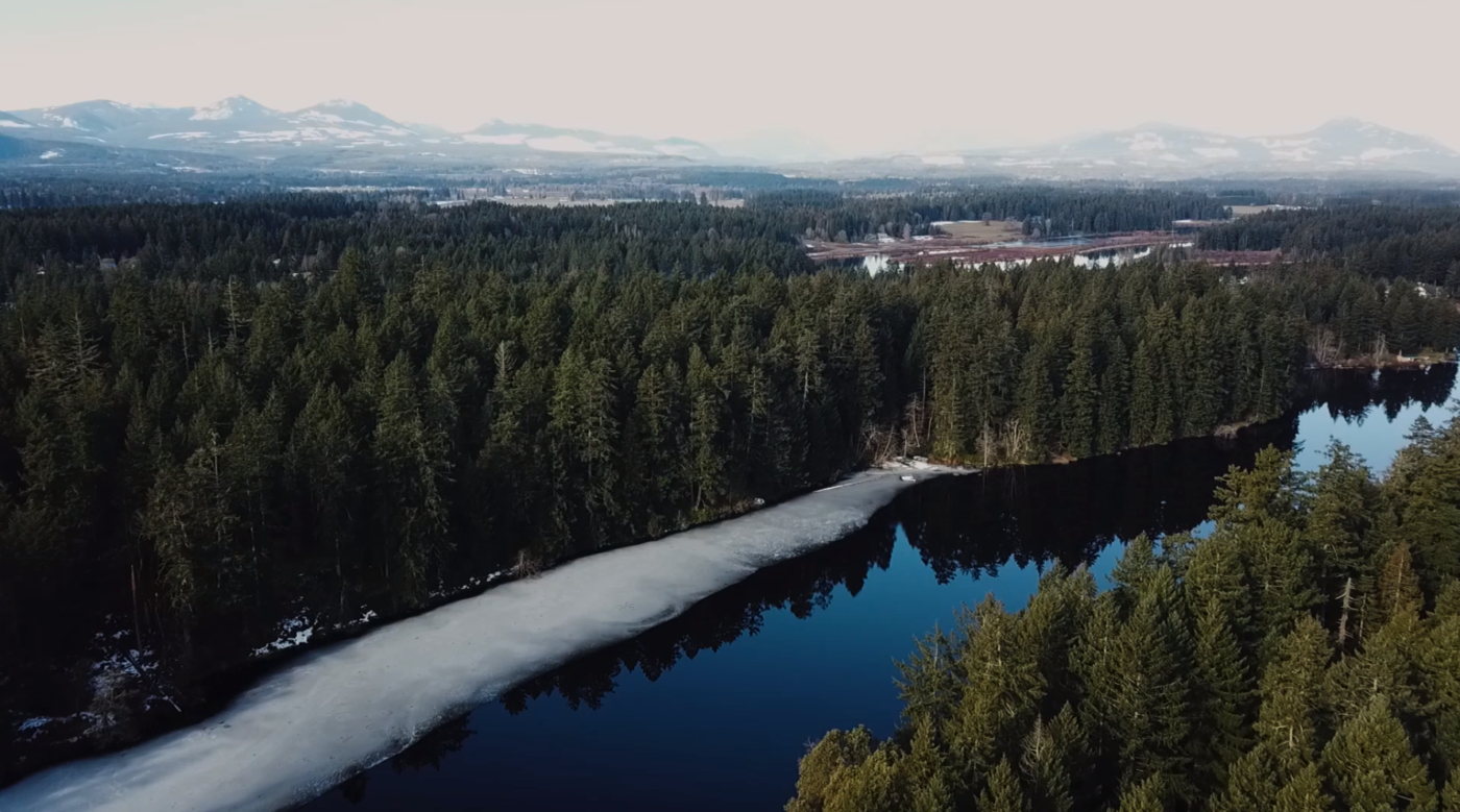 These Wildwood foresters are reimagining ways to harvest timber | The ...