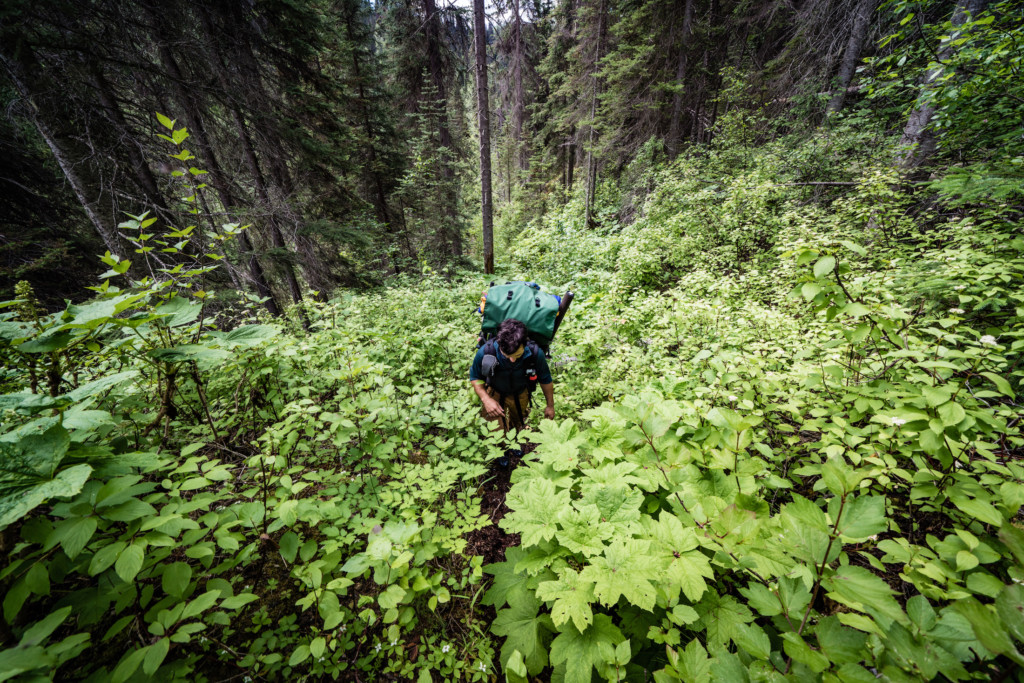 We back-country paddled to the Tulsequah Chief, B.C.’s most infamous ...