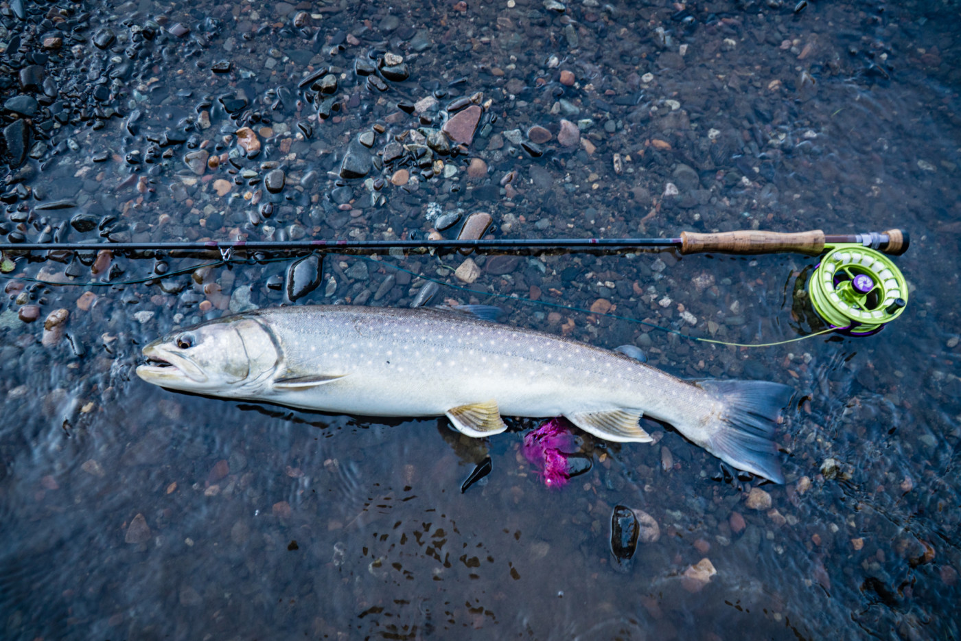 We back-country paddled to the Tulsequah Chief, B.C.’s most infamous ...