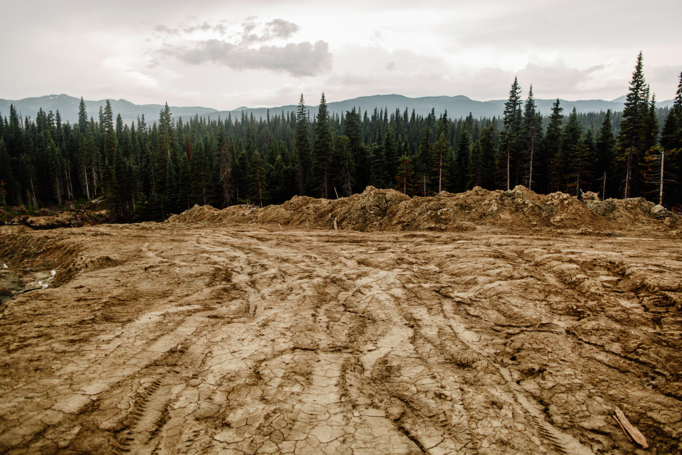 FortisBC, Port of Vancouver projects awaiting B.C. decisions | The Narwhal