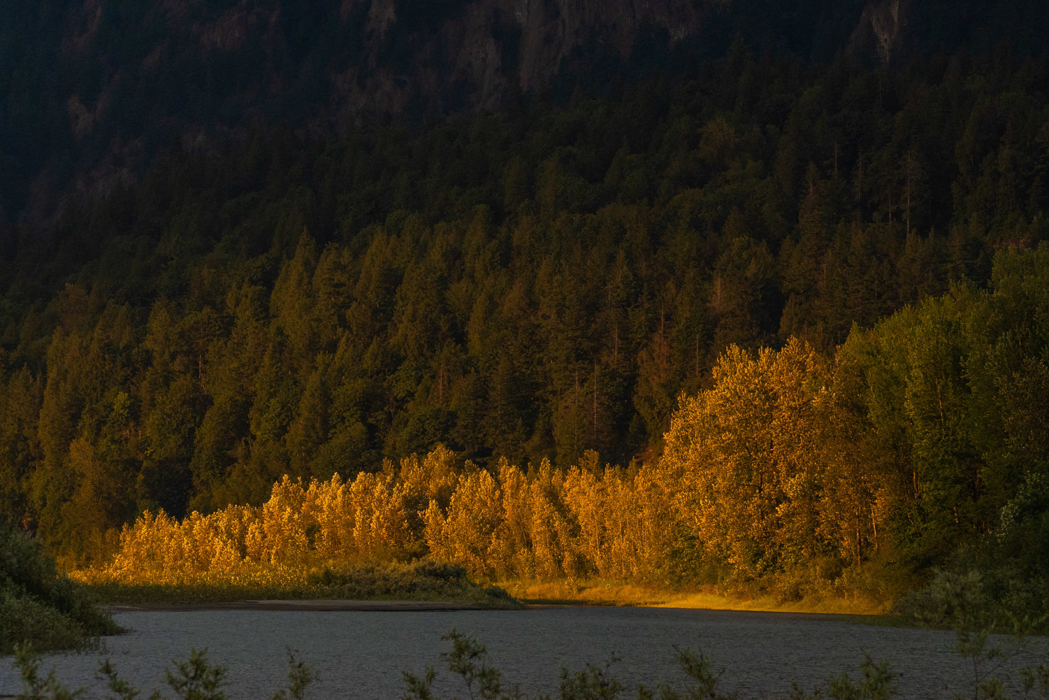 The battle to protect the heart of the Fraser River | The Narwhal