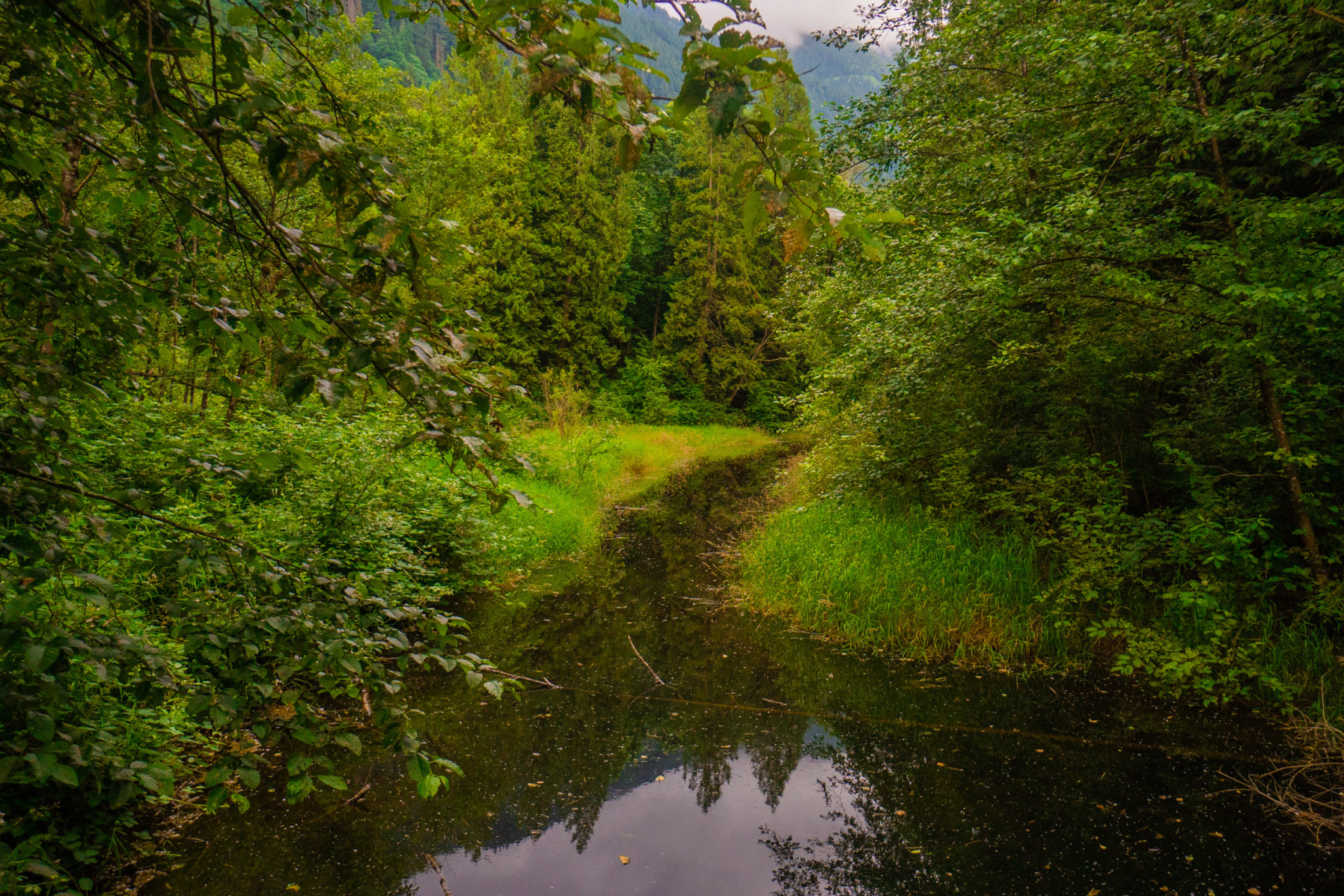 The battle to protect the heart of the Fraser River | The Narwhal