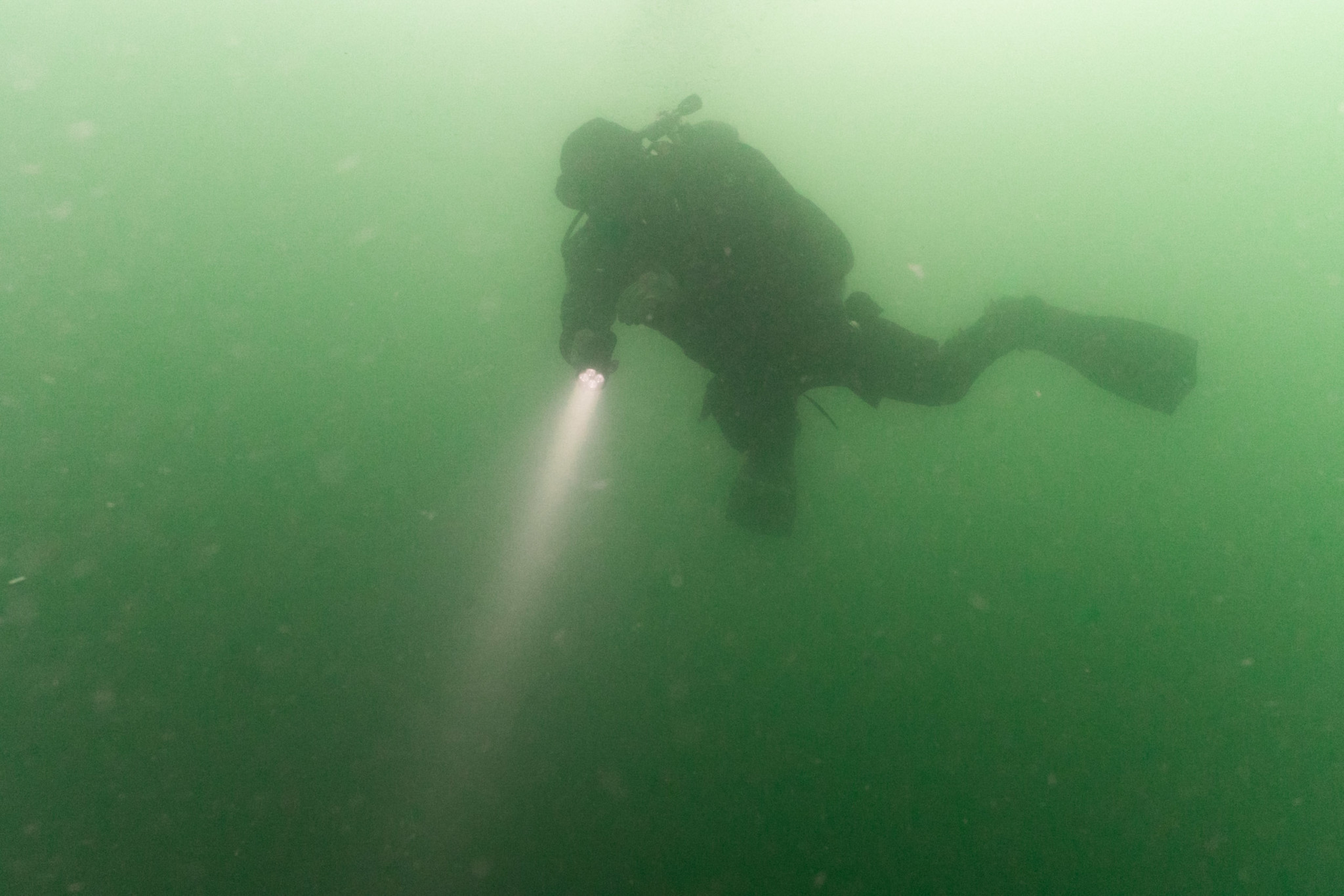 The battle to protect the heart of the Fraser River | The Narwhal