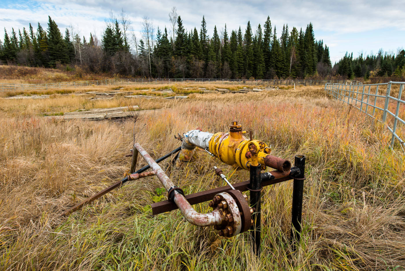 B.C. First Nations transform oil wells into wetlands | The Narwhal