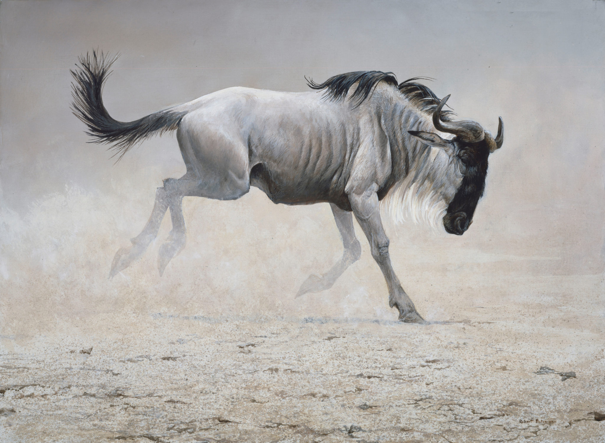 A conversation with iconic artist Robert Bateman | The Narwhal