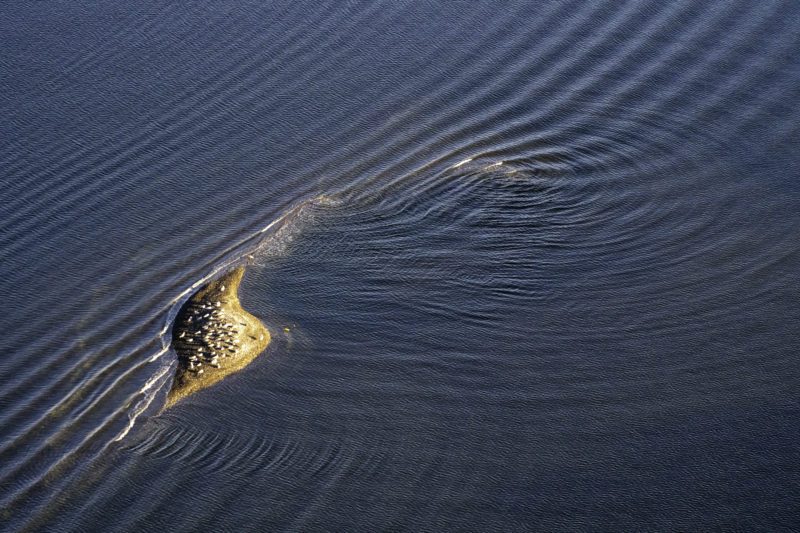 Blue carbon: the climate change solution you’ve probably never heard of ...