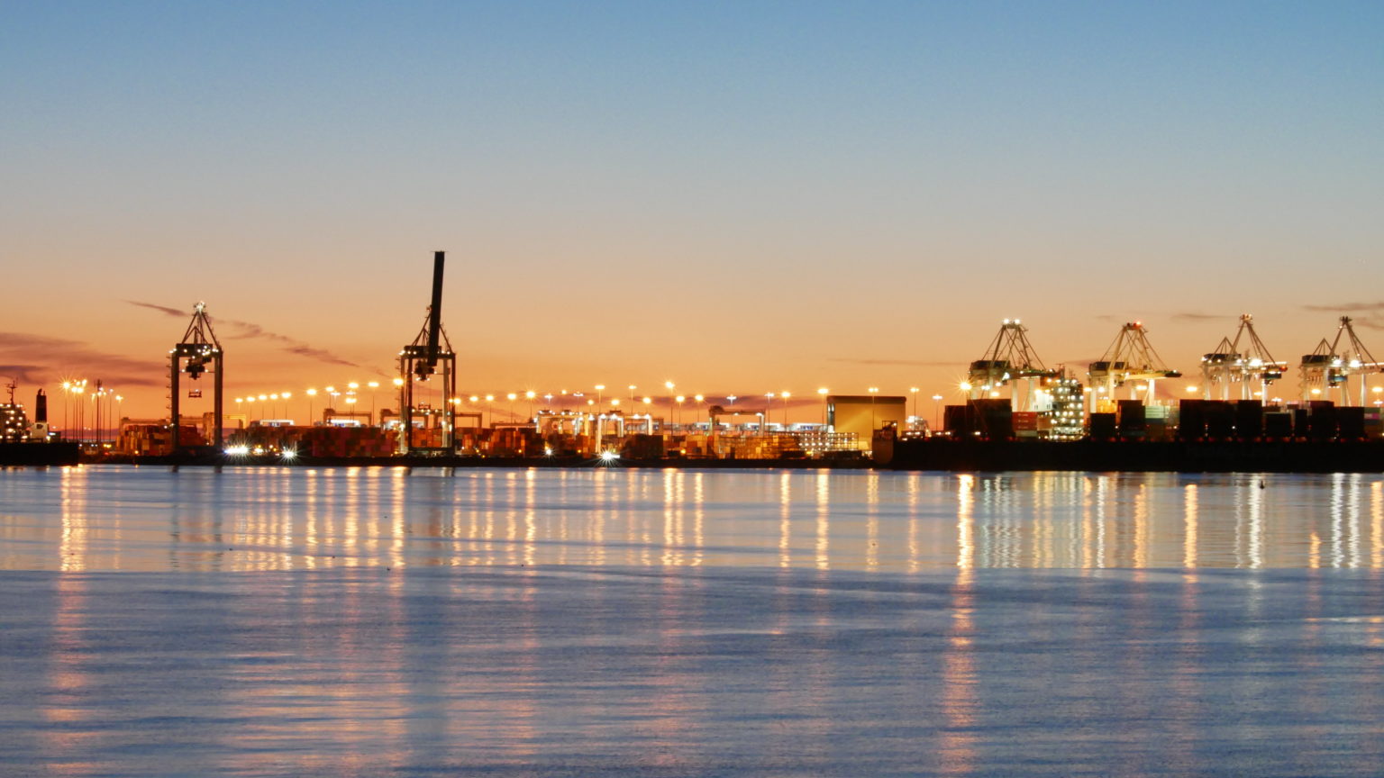 Roberts Bank Terminal 2 would make Fraser River estuary a ‘giant ...
