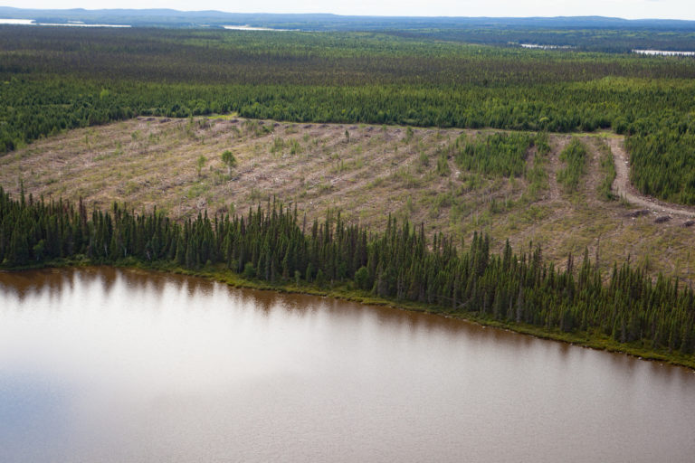 ‘It’s like paradise for us’: the Cree Nation’s fight to save the ...