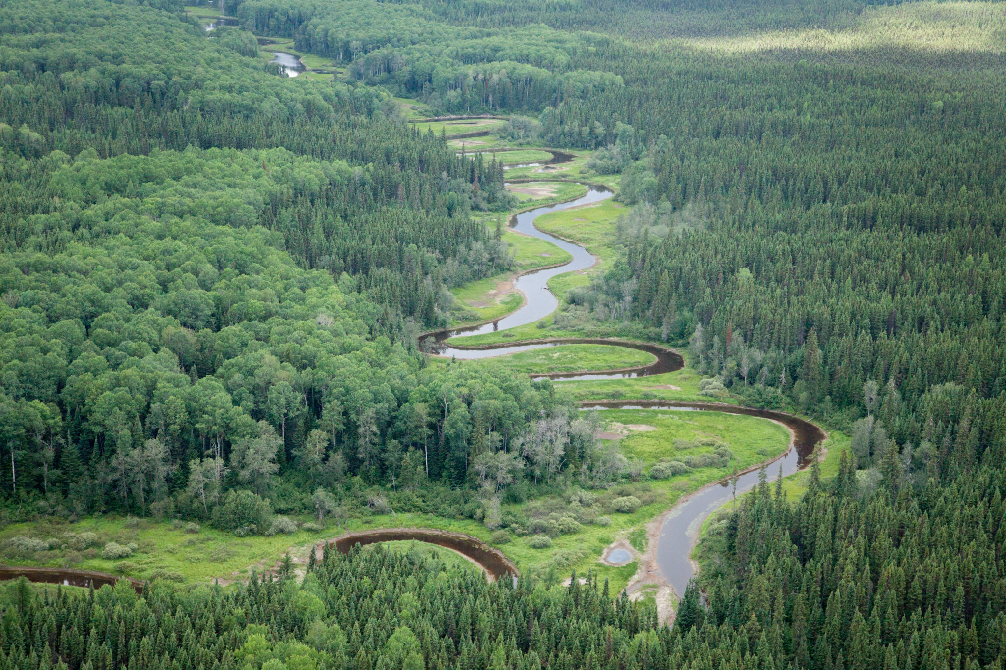 ‘It’s like paradise for us’: the Cree Nation’s fight to save the ...