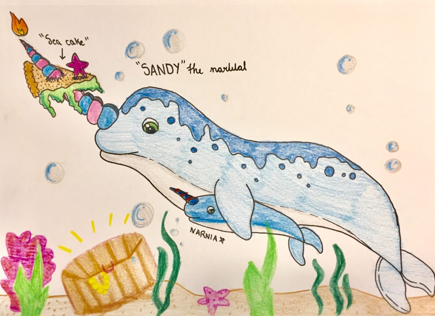 Announcing our narwhal art contest winners | The Narwhal