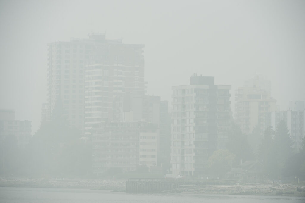 Smoke and acid: where wildfires meet the ocean | The Narwhal