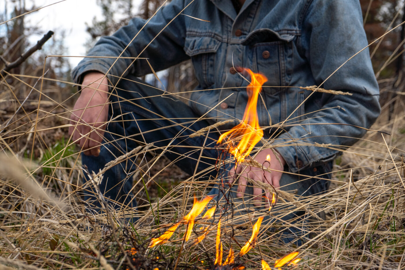 The art of fire: reviving the Indigenous craft of cultural burning ...