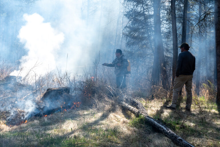 The art of fire: reviving the Indigenous craft of cultural burning ...