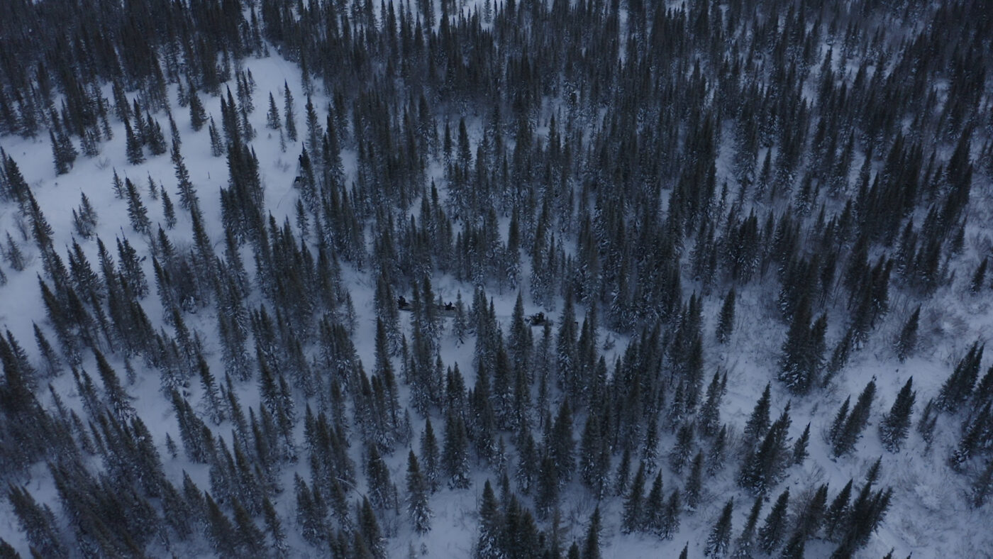 Indigenous food insecurity driven by climate change: report