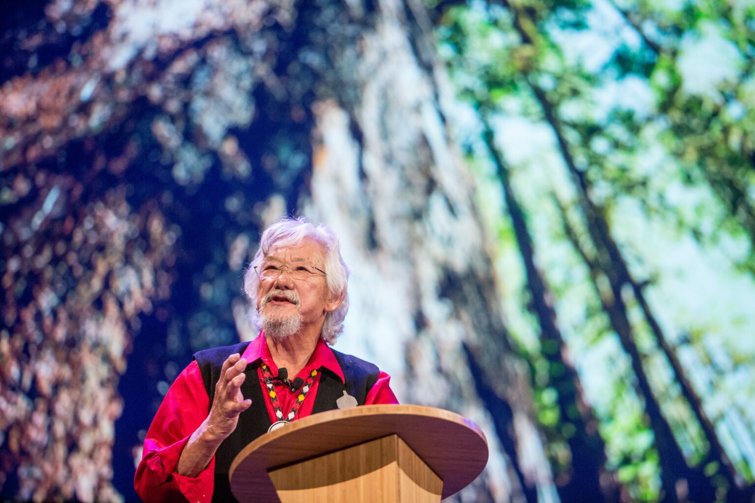 The Nature of Things with David Suzuki 60th anniversary | The Narwhal