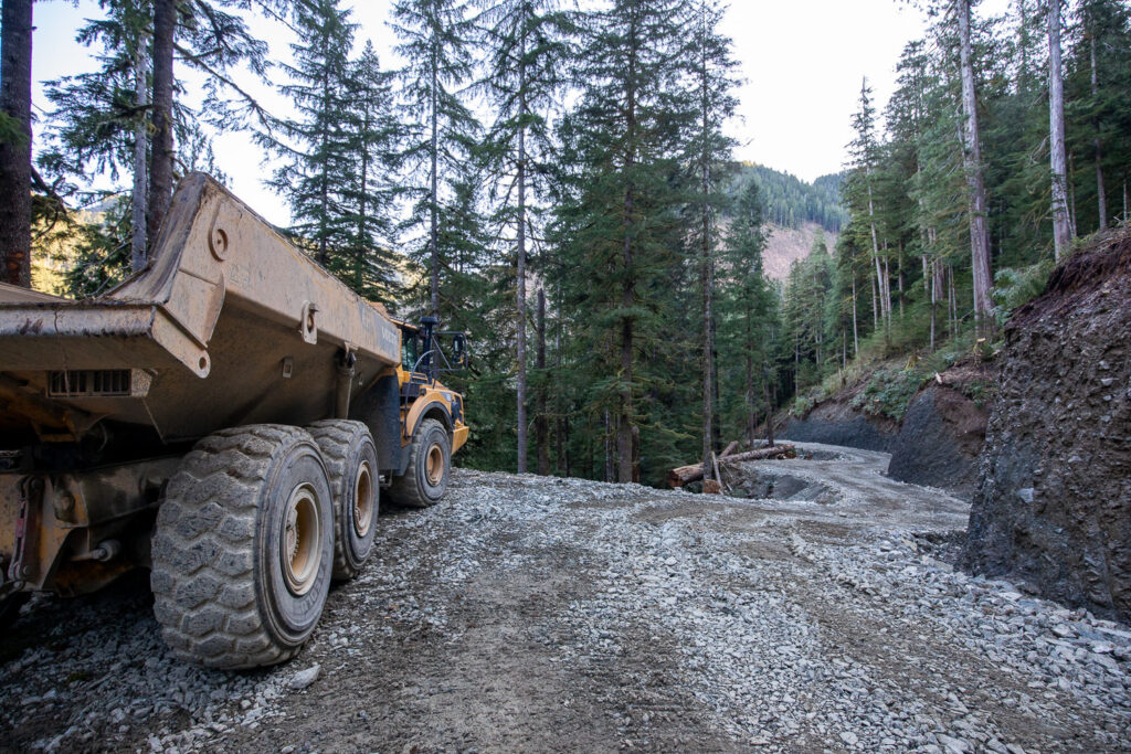 Photos reveal scope of old-growth forest logging in B.C. | The Narwhal