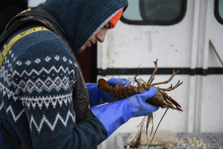 The legal Atlantic fishery that still sparks violence | The Narwhal