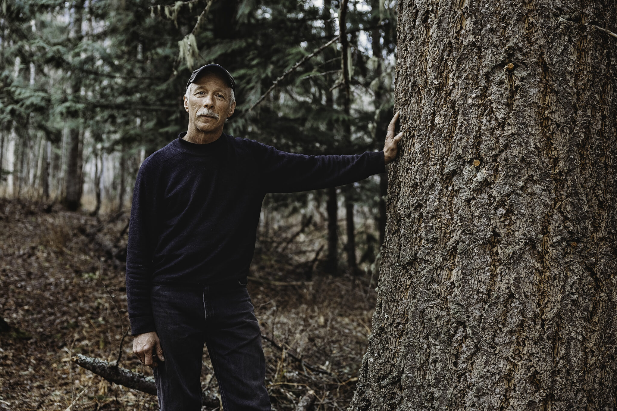 B.C. ranchers, loggers unite against plan to log rare old-growth rainforest