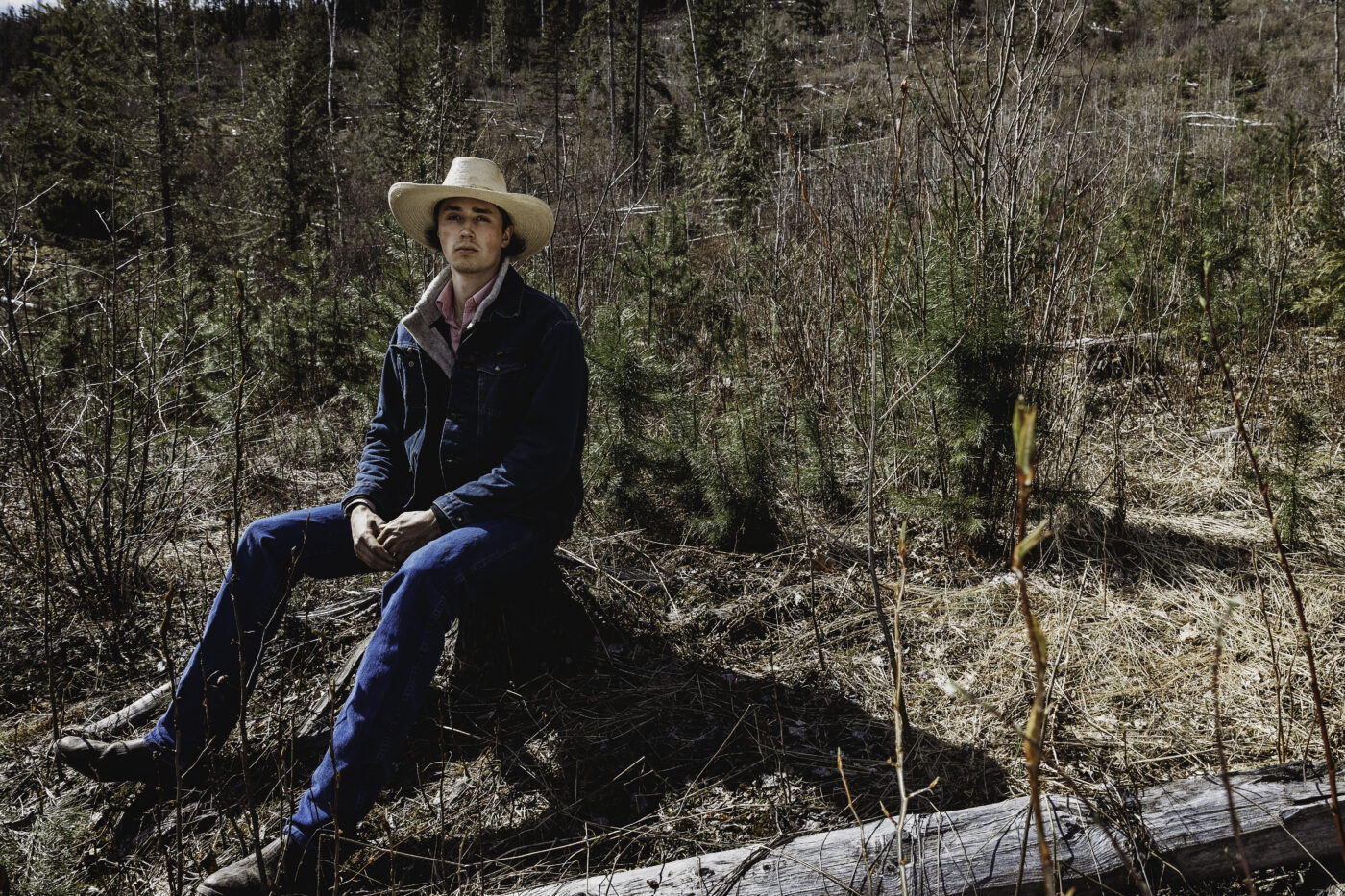 B.C. ranchers, loggers unite against plan to log rare old-growth rainforest