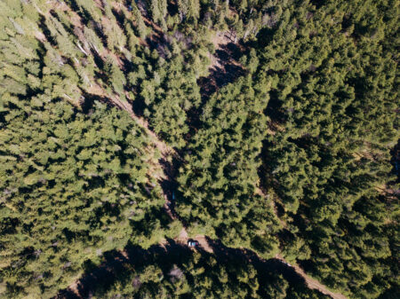 In B.C.’s Kispiox Valley, the search is on for sustainable forestry ...