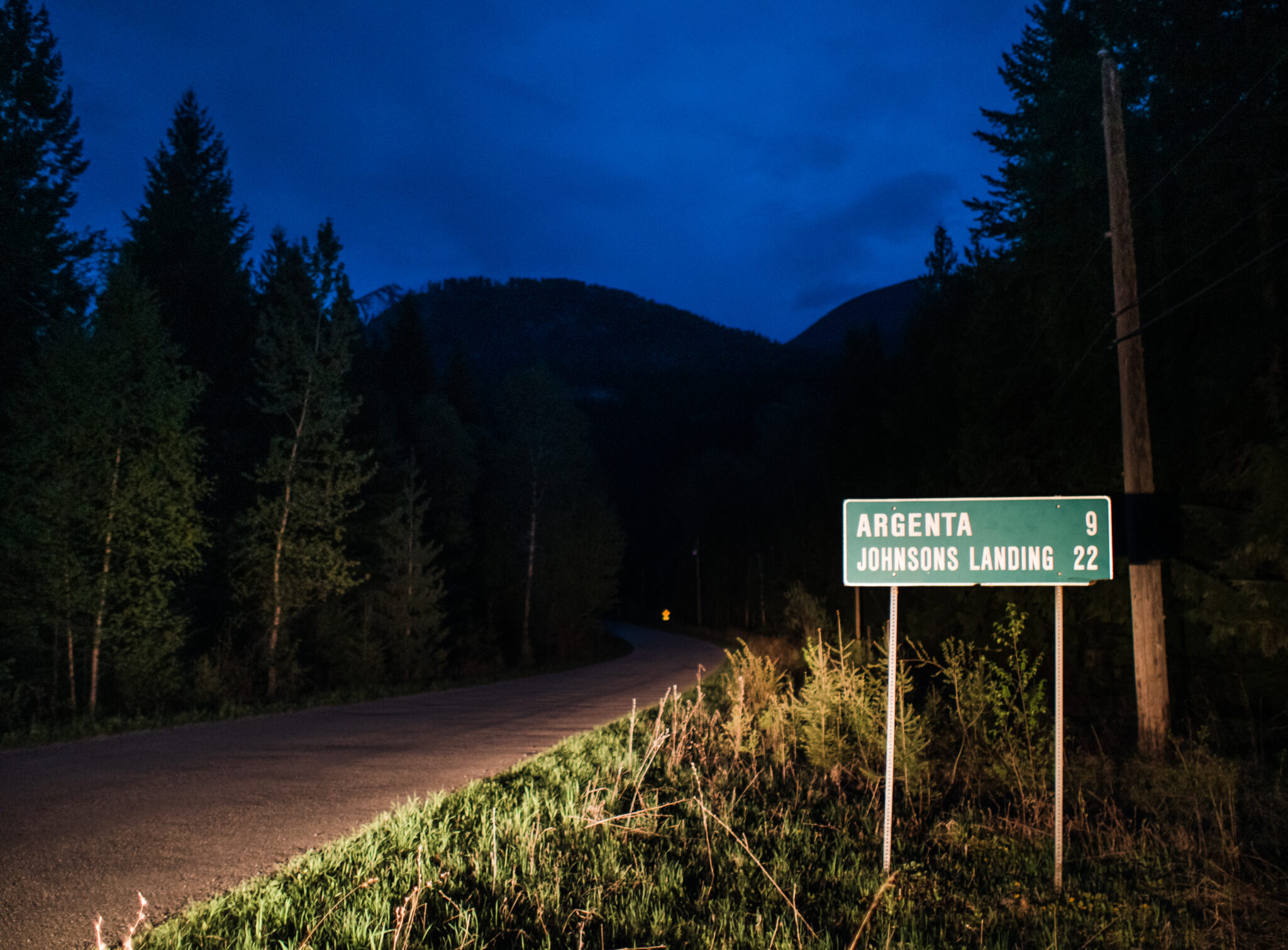 Logging, wildfires and the future of B.C.’s Purcell forest | The Narwhal