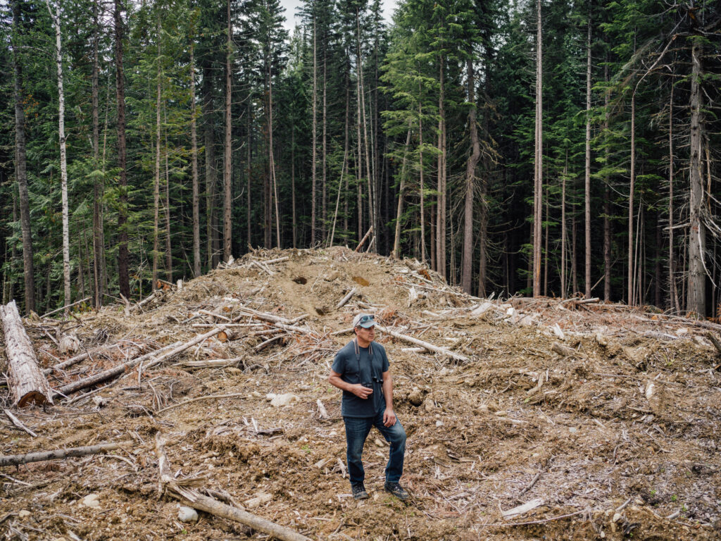 B.C.’s rare inland rainforest at risk of collapse, scientists warn ...