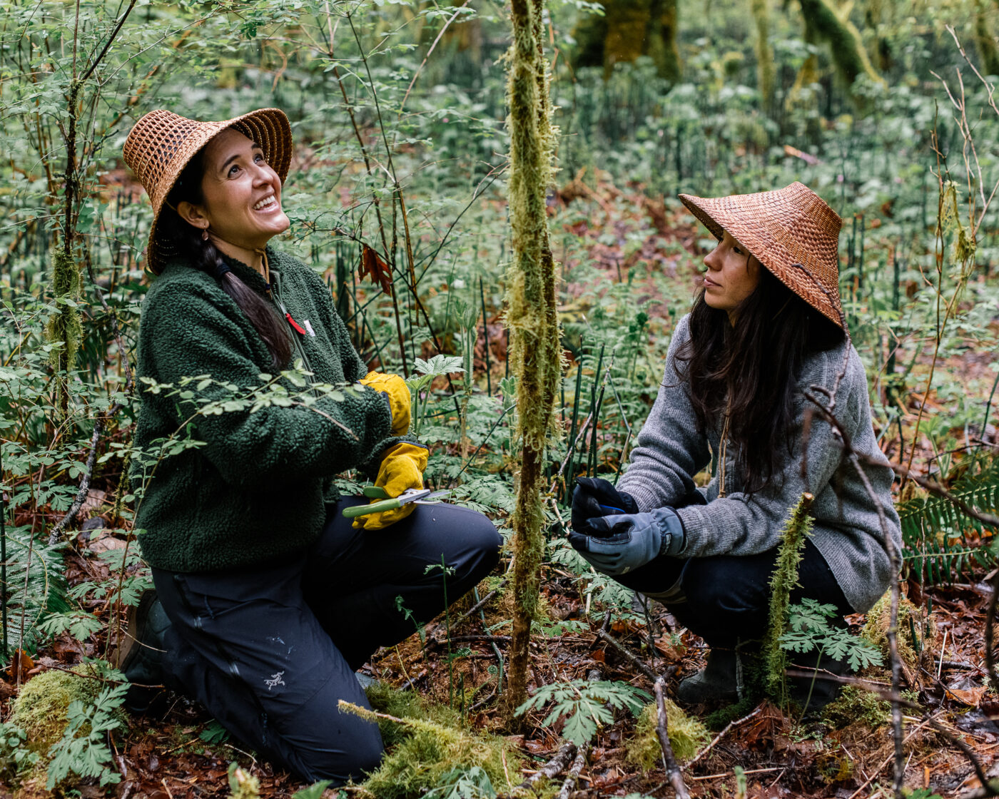 Meet Cheakamus: the only community forest in B.C. to develop carbon offsets