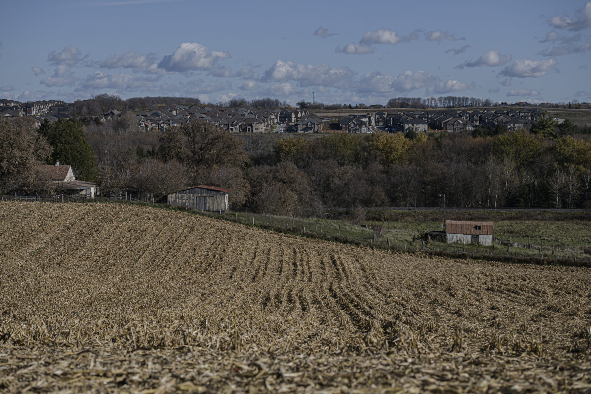 A guide to the Ontario Greenbelt’s endangered species, waterways and ...