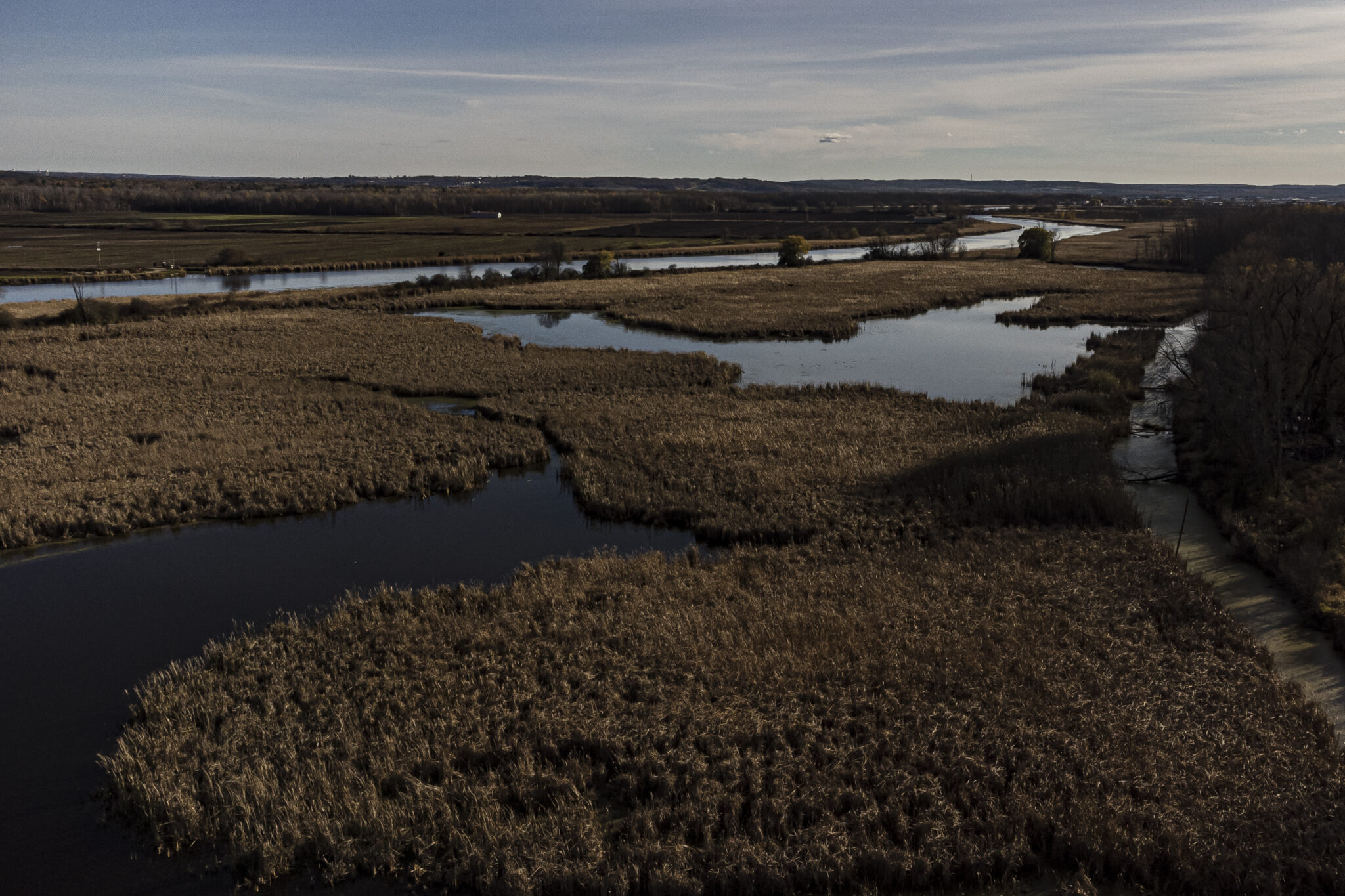 A guide to the Ontario Greenbelt’s endangered species, waterways and ...