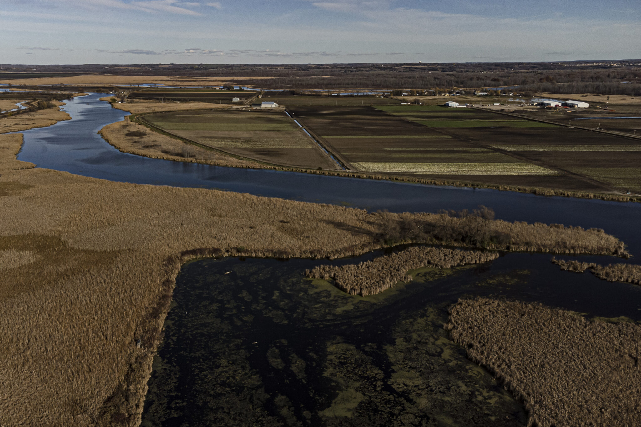 A guide to the Ontario Greenbelt’s endangered species, waterways and ...