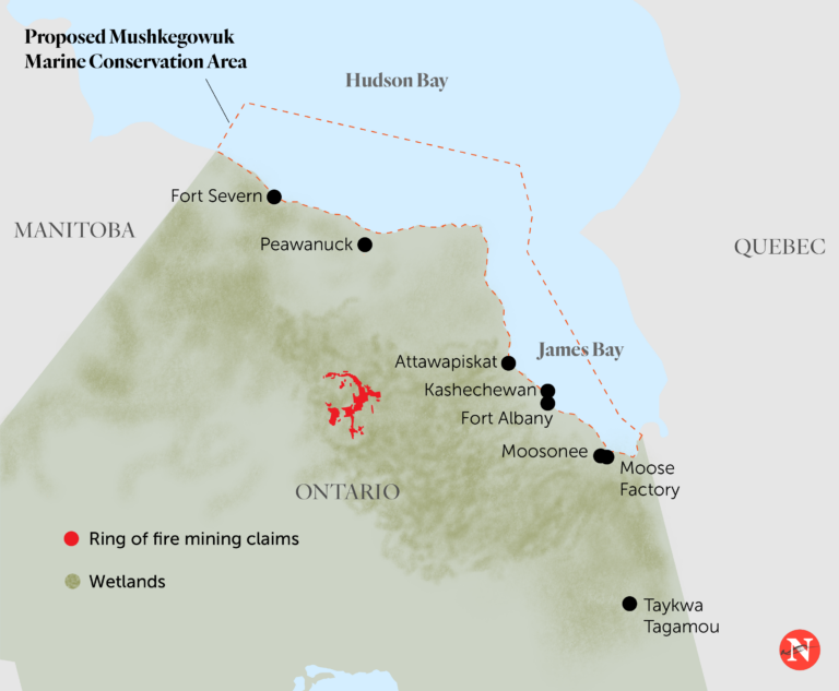 Could an Indigenous conservation area in Hudson Bay be key to saving ...