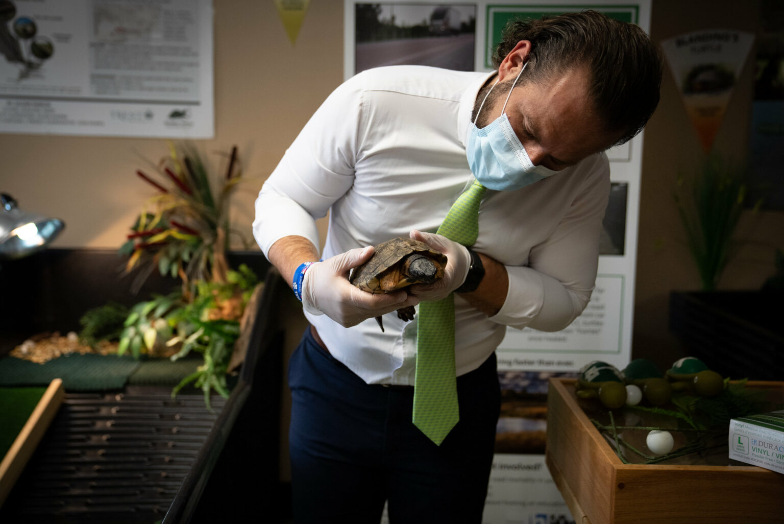 Meet David Piccini, environment minister in Ford's Ontario | The Narwhal