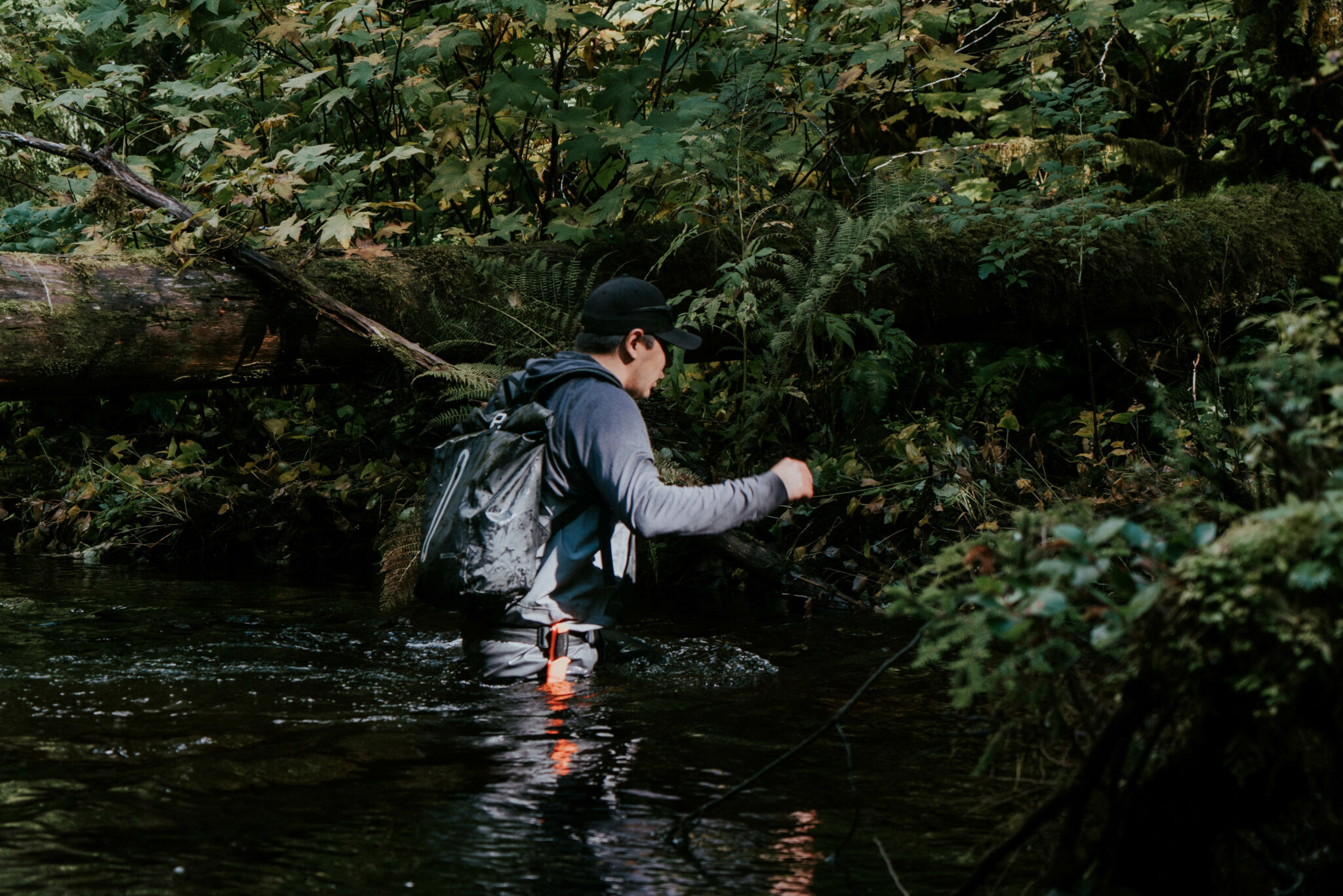 First Nations record ‘scary’ low salmon returns on B.C.’s central coast