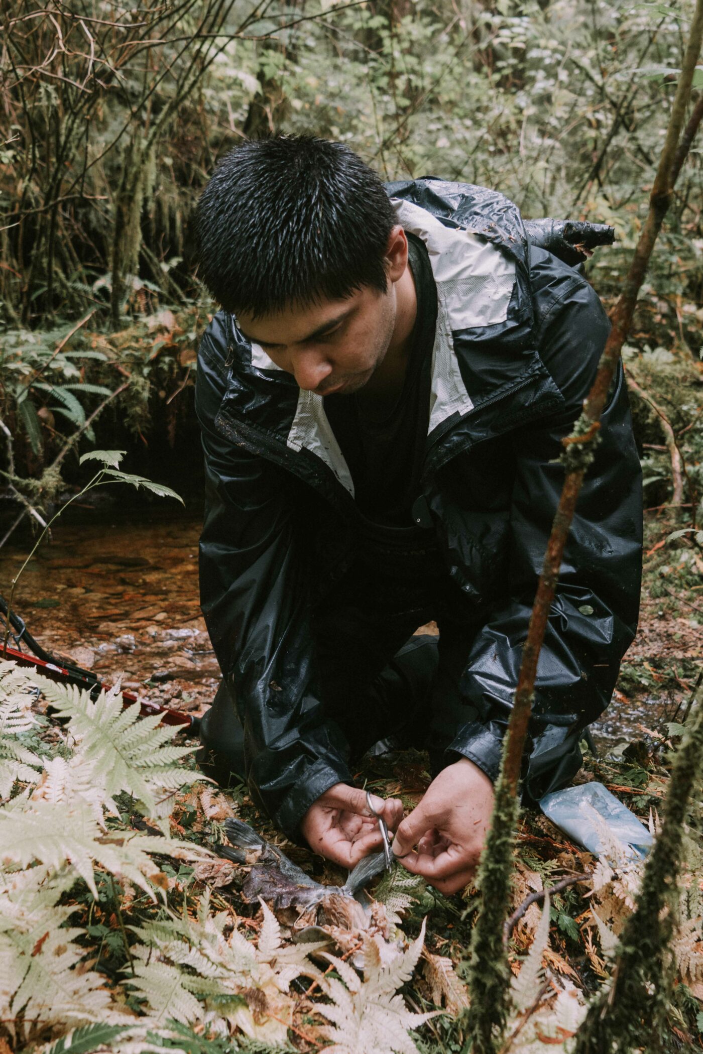 First Nations record ‘scary’ low salmon returns on B.C.’s central coast