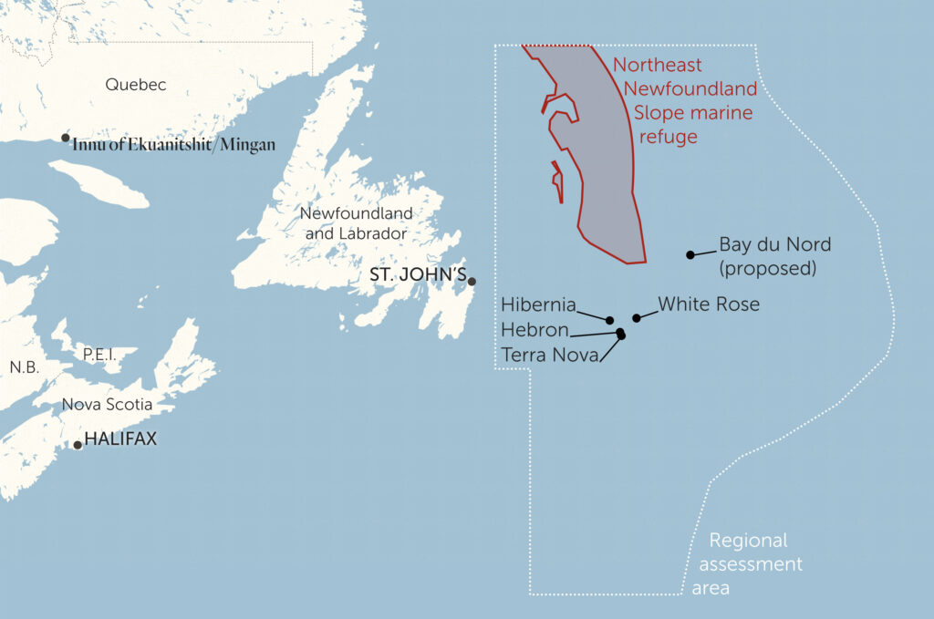 How Canada made exploring for Newfoundland oil and gas easier | The Narwhal