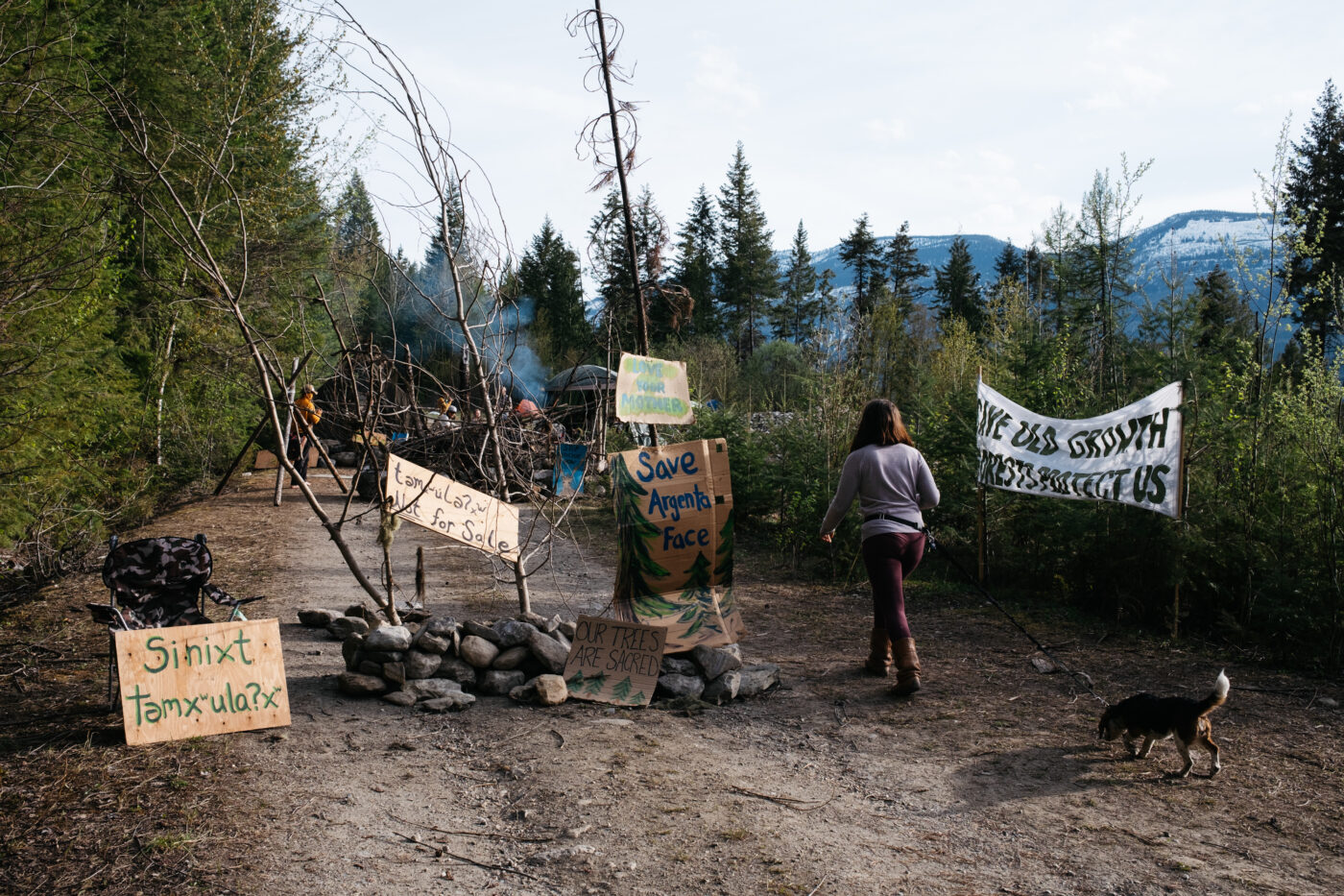 RCMP arrested my 75-year-old mom at a B.C. logging blockade | The Narwhal