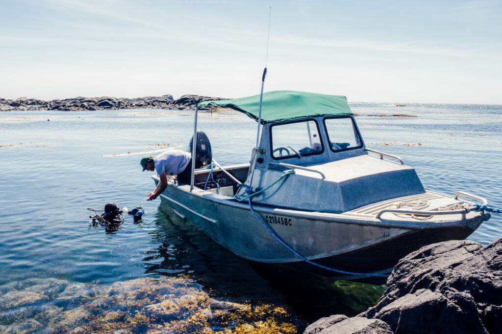 Ex-Pacific Wild workers allege abuse at environmental organization ...