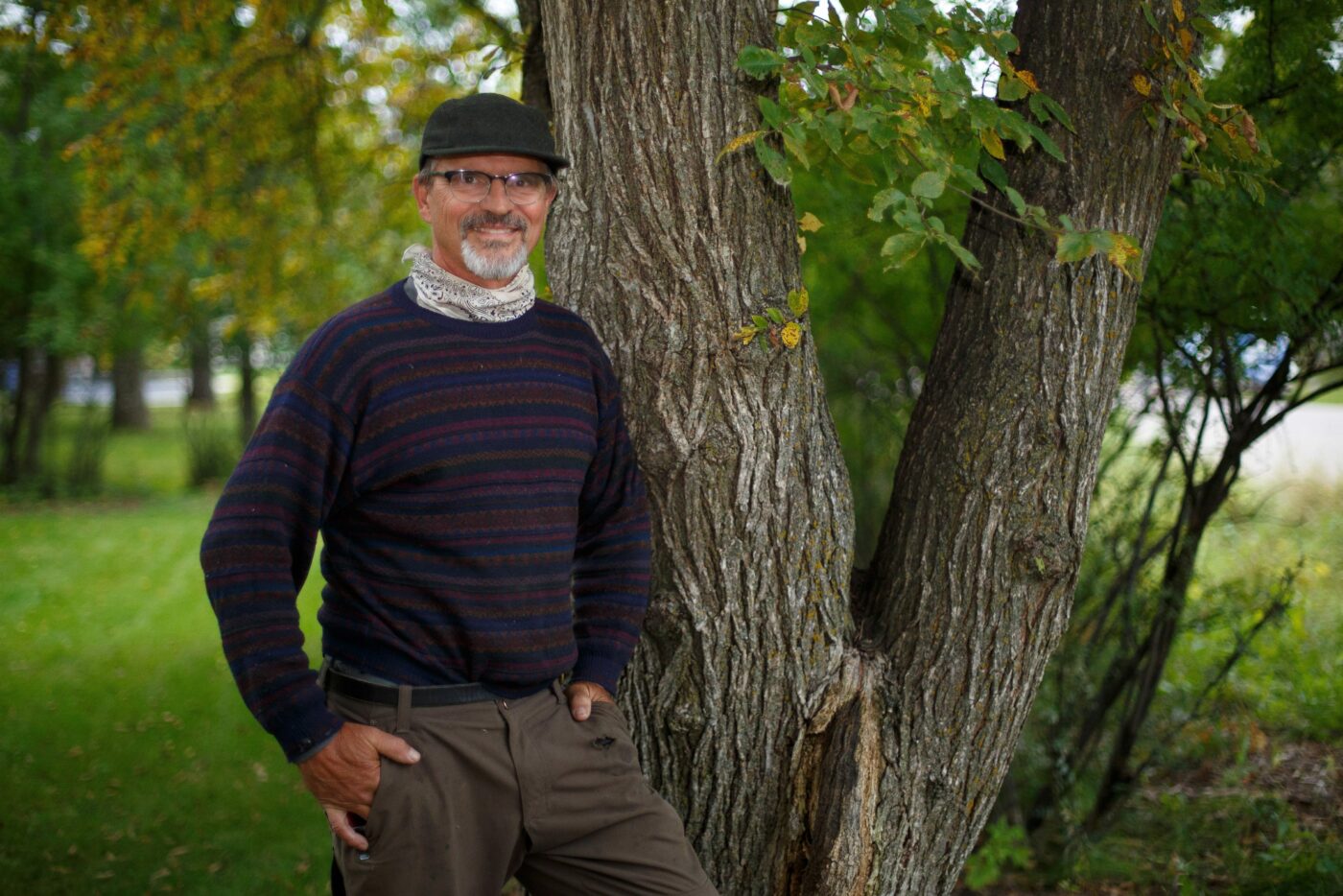 Can tree planting save urban forests in crisis? | The Narwhal
