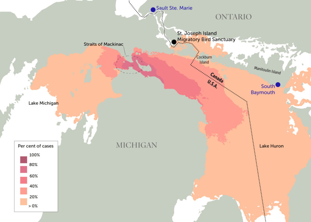 Here’s who a Line 5 spill in Lake Huron could affect | The Narwhal