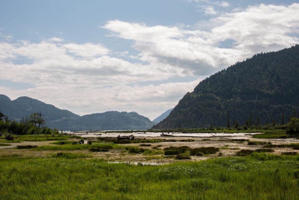 Squamish's fractured estuary is being restored | The Narwhal