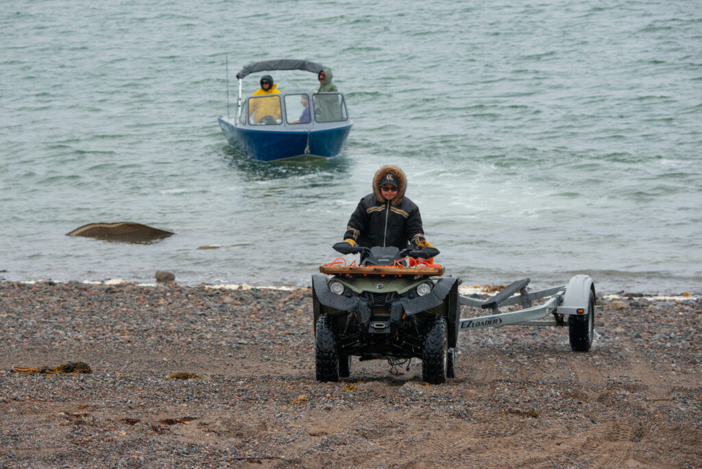 How Inuit youth are preserving the hunt and their identity | The Narwhal