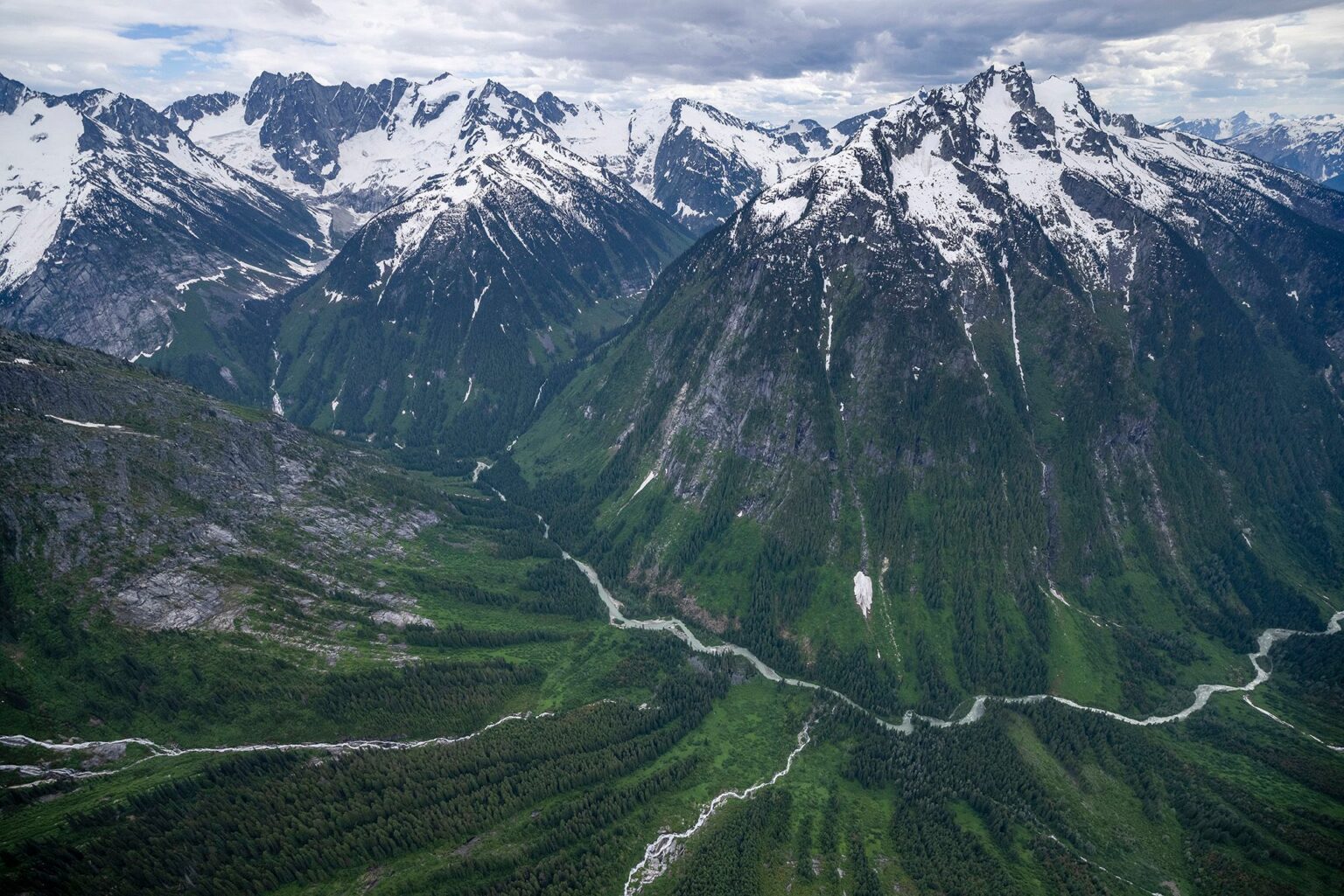 New B.C. conservancy protects globally imperilled rainforest | The Narwhal