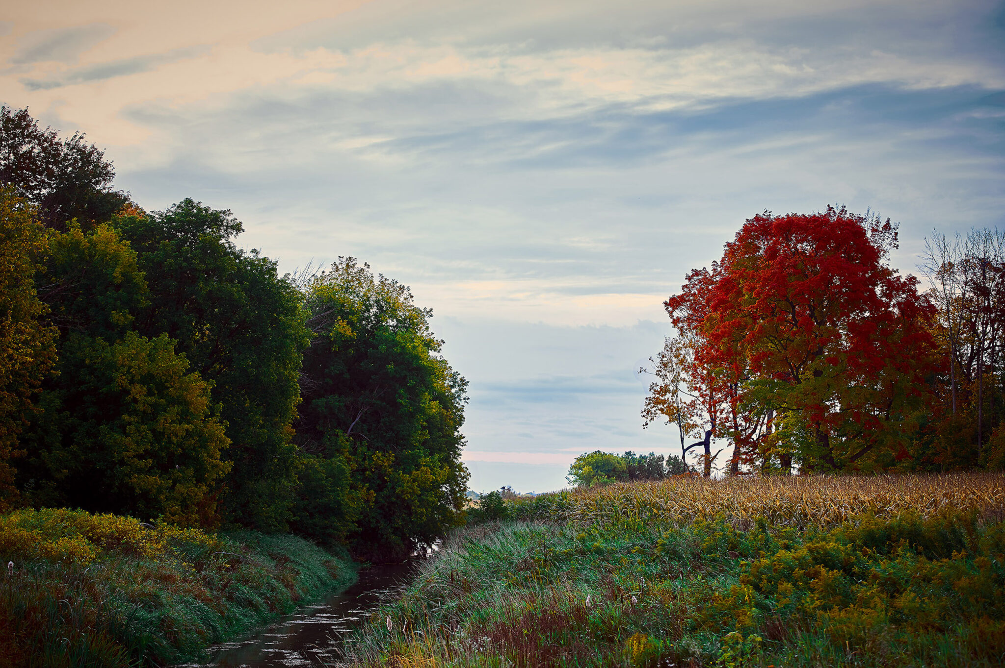 Ottawa’s Greenbelt is still unprotected | The Narwhal