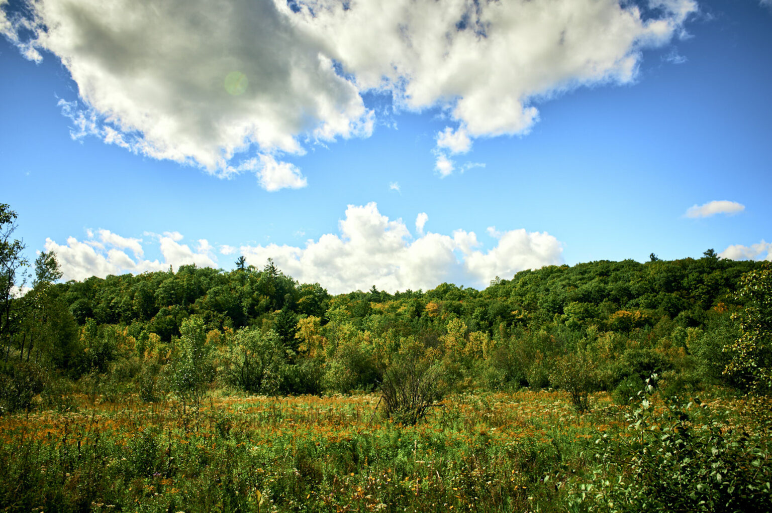 Ottawa’s Greenbelt is still unprotected | The Narwhal