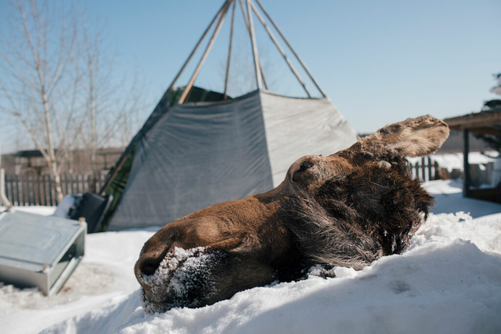 Fort Chipewyan grapples with aftermath of oilsands spill | The Narwhal