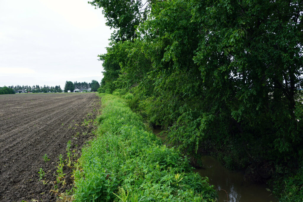 How to help Ontario farmers restore wetlands and woods | The Narwhal