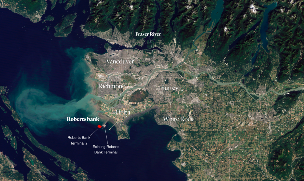 Opinion: Roberts Bank Terminal 2 approval a blow to biodiversity | The ...