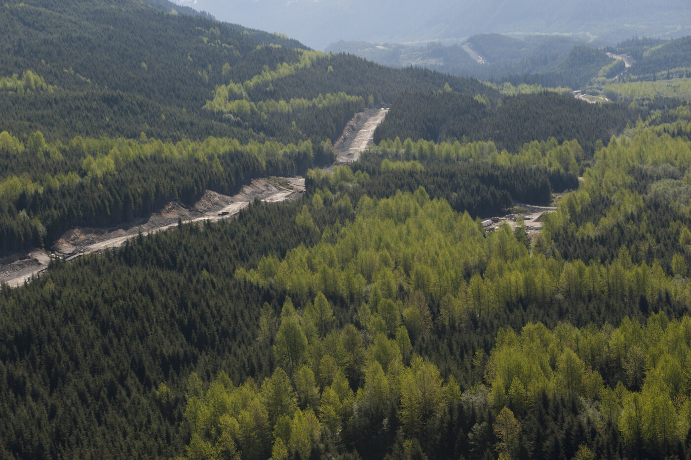 RBC on defensive over fossil fuel critiques | The Narwhal